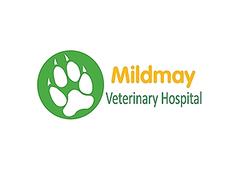 3 Best Vets in Winchester, UK - Expert Recommendations