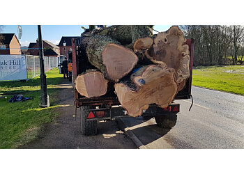 3 Best Tree Services in Blackpool, UK - Expert Recommendations