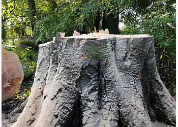 3 Best Tree Services in Blackpool, UK - Expert Recommendations