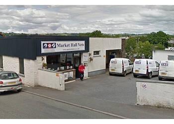 3 Best Vets in Carmarthenshire, UK - Expert Recommendations