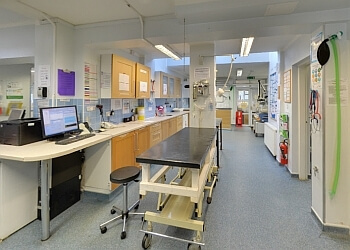 3 Best Vets in London, UK - Expert Recommendations