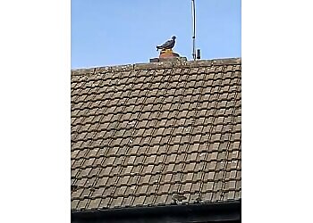 3 Best Chimney Sweeps in Nottingham, UK - Expert Recommendations