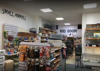 3 Best Pet Shops in Newport, UK - Expert Recommendations