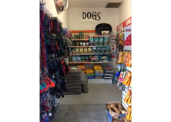 3 Best Pet Shops in Newport, UK - Expert Recommendations