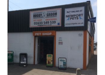 3 Best Pet Shops in Newport, UK - Expert Recommendations