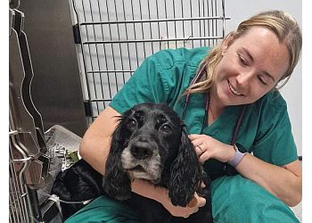 3 Best Vets in Norwich, UK - Expert Recommendations