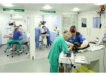 3 Best Vets in Harrogate, UK - Expert Recommendations