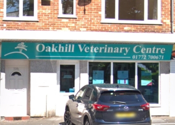 3 Best Vets in Preston, UK - Expert Recommendations