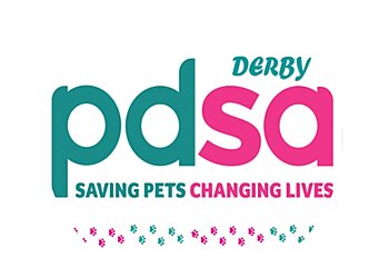 3 Best Vets in Derby, UK - Expert Recommendations