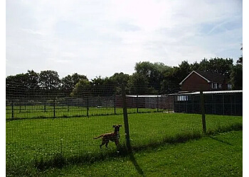 3 Best Boarding Kennels in Lincoln, UK - Expert Recommendations