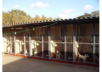 3 Best Boarding Kennels in Lincoln, UK - Expert Recommendations