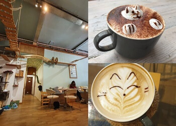 3 Best Cafes in Bournemouth, UK - ThreeBestRated