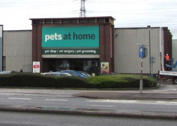 3 Best Pet Shops in Cardiff, UK - Expert Recommendations