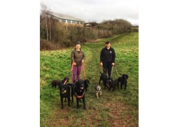 3 Best Dog Walkers in Exeter, UK - ThreeBestRated