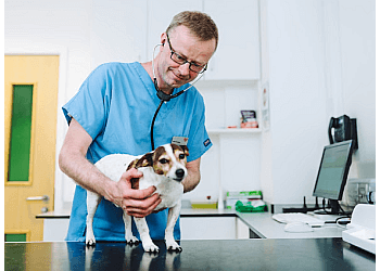 3 Best Vets in Derby, UK - Expert Recommendations