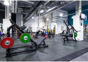 3 Best Gyms in Aberdeen, UK - Expert Recommendations