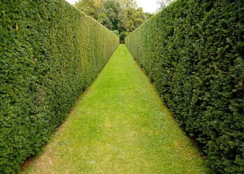 3 Best Landscape Gardeners in Nottingham, UK - ThreeBestRated