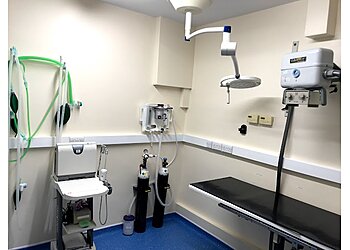 3 Best Vets in Warrington, UK - Expert Recommendations