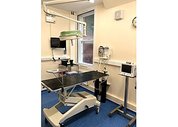 3 Best Vets in Warrington, UK - Expert Recommendations