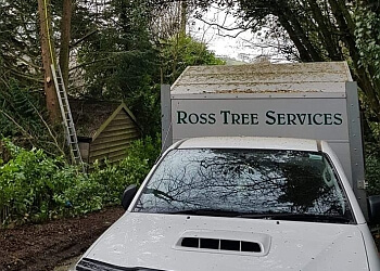 3 Best Tree Services in Hereford, UK - Expert Recommendations