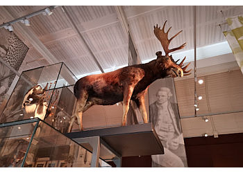 3 Best Places To Visit in Exeter, UK - Expert Recommendations