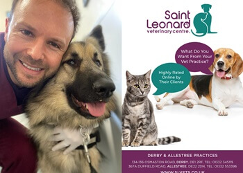3 Best Vets in Derby, UK - Expert Recommendations