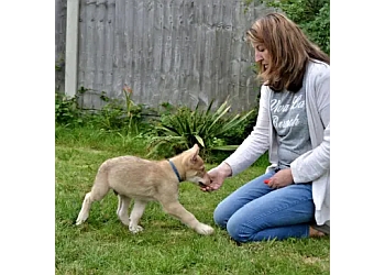 3 Best Dog Trainers in Crewe, UK - ThreeBestRated