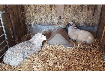 3 Best Places To Visit in Sandwell, UK - Expert Recommendations