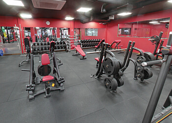 3 Best Gyms in Maidstone, UK - Expert Recommendations