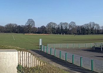 3 Best Parks in Reading, UK - Expert Recommendations