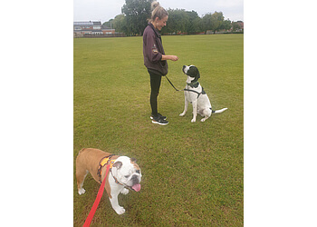 3 Best Dog Trainers in Sunderland, UK - ThreeBestRated