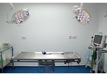 3 Best Vets in Bournemouth, UK - Expert Recommendations