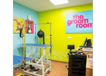 3 Best Pet Grooming in Gwynedd, UK - Expert Recommendations