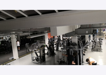 3 Best Gyms in Colchester, UK - Expert Recommendations