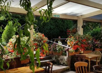 3 Best Pubs in New Forest, UK - ThreeBestRated