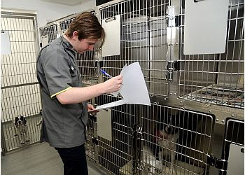 3 Best Vets in Barnsley, UK - Expert Recommendations