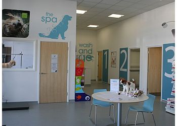 3 Best Vets in Liverpool, UK - Expert Recommendations