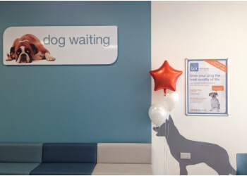 3 Best Vets in Nottingham, UK - ThreeBestRated