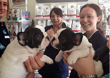 3 Best Vets in Nottingham, UK - Expert Recommendations