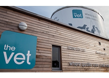 3 Best Vets in Southampton, UK - Expert Recommendations