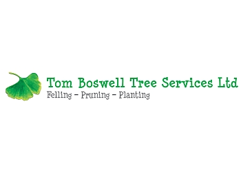 3 Best Tree Services in Ealing, UK - Expert Recommendations