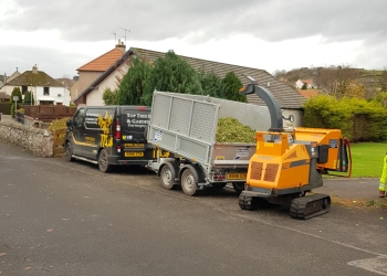 3 Best Tree Services in Perth, UK - Expert Recommendations