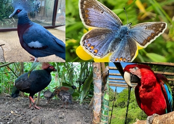 3 Best Places To Visit in Sheffield, UK - ThreeBestRated