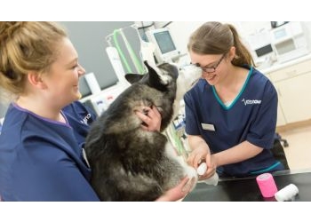 3 Best Vets in Middlesbrough, UK - ThreeBestRated