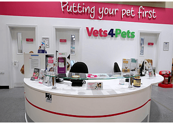 3 Best Vets in Harrogate, UK - Expert Recommendations