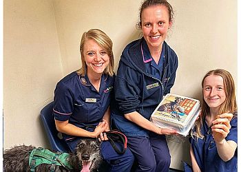 3 Best Vets in Newcastle Upon Tyne, UK - Expert Recommendations
