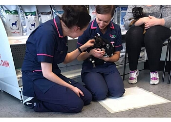 3 Best Vets in Newcastle Upon Tyne, UK - Expert Recommendations