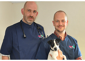 3 Best Vets in Nottingham, UK - Expert Recommendations
