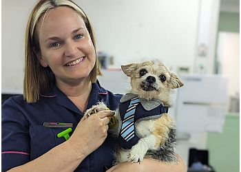 3 Best Vets in Wigan, UK - Expert Recommendations