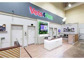 3 Best Vets in Worcester, UK - Expert Recommendations